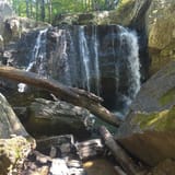 Falling Branch Trail to Kilgore Falls, Maryland - 1,187 Reviews, Map ...