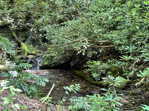 Best Hikes and Trails in Connestee Falls Hiking Trails | AllTrails