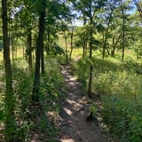 Gander Mountain Loop Trail, Illinois - 514 Reviews, Map | AllTrails