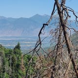 Red Lake Trail, Utah - 265 Reviews, Map | AllTrails