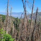 Red Lake Trail, Utah - 265 Reviews, Map | AllTrails