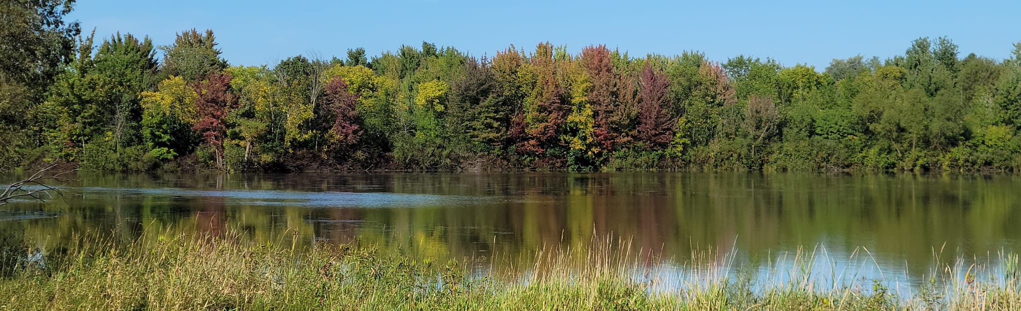 Bicentennial Park Path via Creasey: 93 Reviews, Map - Michigan | AllTrails