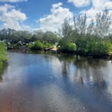 Gordon River Greenway, Florida - 869 Reviews, Map | AllTrails