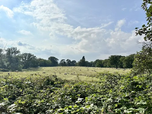 Best Hikes and Trails in Danbury Country Park | AllTrails