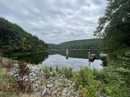 2023 Best Trails, Walks, and Paths in Mount Berry | AllTrails