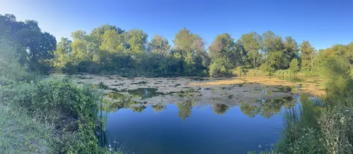 Best Hikes and Trails in Grunwald Farms Forest Preserve | AllTrails