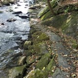 Old Mill Trail, Massachusetts - 314 Reviews, Map | AllTrails