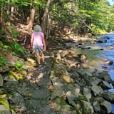 Old Mill Trail, Massachusetts - 314 Reviews, Map | AllTrails