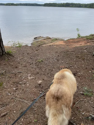 Best Hikes and Trails in Long Cane Recreation Park | AllTrails