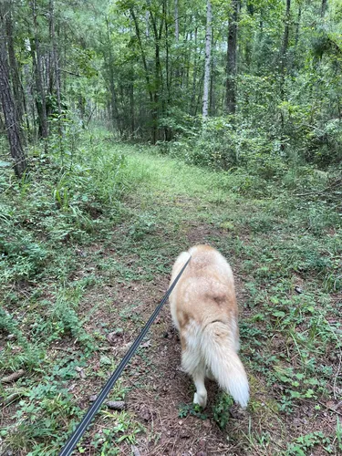 Best Hikes and Trails in Long Cane Recreation Park | AllTrails