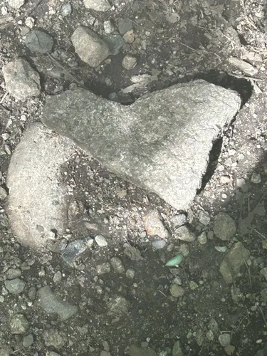 Best Hikes and Trails in Wrentham State Forest | AllTrails