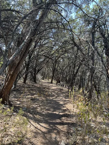 Best Hikes and Trails in Emma Long Metropolitan Park | AllTrails