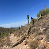 Gateway to Bell Pass, Arizona - 1,115 Reviews, Map | AllTrails