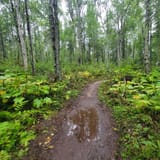 Talkeetna Lake Trail, Alaska - 648 Reviews, Map | AllTrails