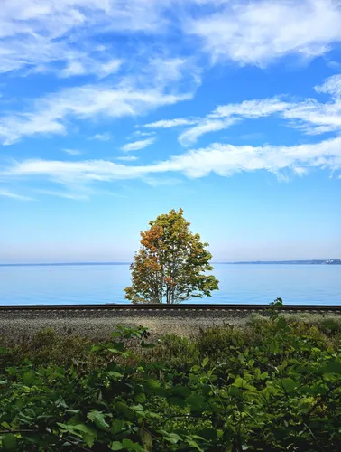10 Best Trails and Hikes in Bellingham | AllTrails