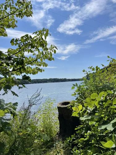 10 Best Hikes and Trails in Waterloo State Recreation Area | AllTrails