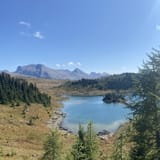 Sunshine Meadows, Alberta, Canada - 214 Reviews, Map | AllTrails