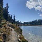 Sunshine Meadows, Alberta, Canada - 214 Reviews, Map | AllTrails