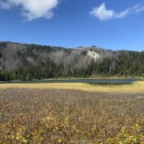 Sunshine Meadows, Alberta, Canada - 214 Reviews, Map | AllTrails