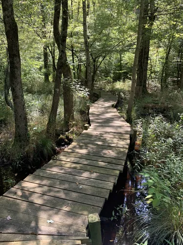 Best Hikes and Trails in Great Swamp Watershed Association | AllTrails