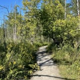 Kensington Metropark Loop Trail, Michigan - 186 Reviews, Map | AllTrails