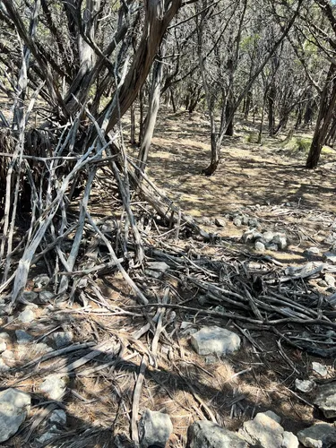 Best Hikes and Trails in Emma Long Metropolitan Park | AllTrails