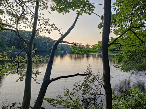 Best Hikes and Trails in Cochituate State Park | AllTrails