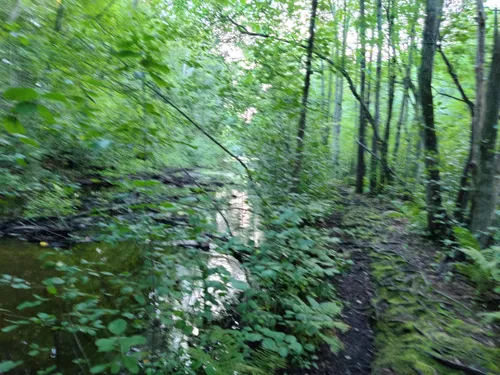 Best Hikes and Trails in Cochituate State Park | AllTrails