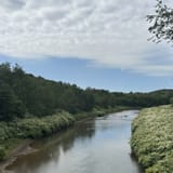 Mahoning Shadow Trail, Pennsylvania - 252 Reviews, Map | AllTrails