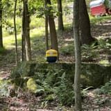 Mahoning Shadow Trail, Pennsylvania - 252 Reviews, Map | AllTrails