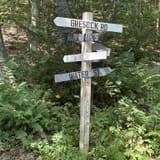 Mahoning Shadow Trail, Pennsylvania - 252 Reviews, Map | AllTrails