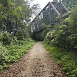 Mahoning Shadow Trail, Pennsylvania - 252 Reviews, Map | AllTrails