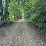 Mahoning Shadow Trail, Pennsylvania - 252 Reviews, Map | AllTrails