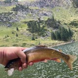 Lost Lake Trail, New Mexico - 287 Reviews, Map | AllTrails