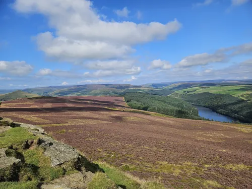 10 Best Trails, Walks, and Paths in Hope | AllTrails