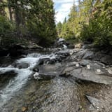 Cedar Falls Trail, Washington - 309 Reviews, Map | AllTrails