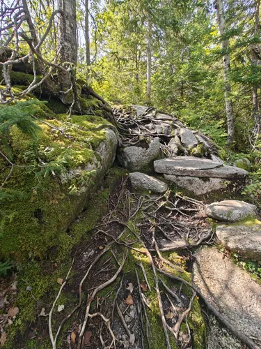 Best Hikes and Trails in Crowbar Lakes Trails | AllTrails