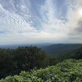 Wildcat Creek Loop Trail, Georgia - 322 Reviews, Map | AllTrails