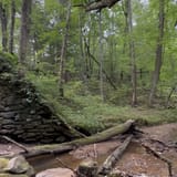 Wildcat Creek Loop Trail, Georgia - 322 Reviews, Map | AllTrails