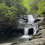 Wildcat Creek Loop Trail, Georgia - 322 Reviews, Map | AllTrails