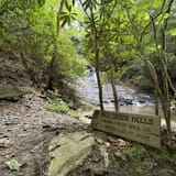 Wildcat Creek Loop Trail, Georgia - 322 Reviews, Map | AllTrails