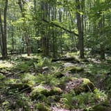 Table Rock, West Virginia - 256 Reviews, Map | AllTrails