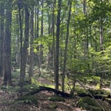 Table Rock, West Virginia - 256 Reviews, Map | AllTrails