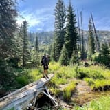 Box Lake Trail, Idaho - 267 Reviews, Map | AllTrails