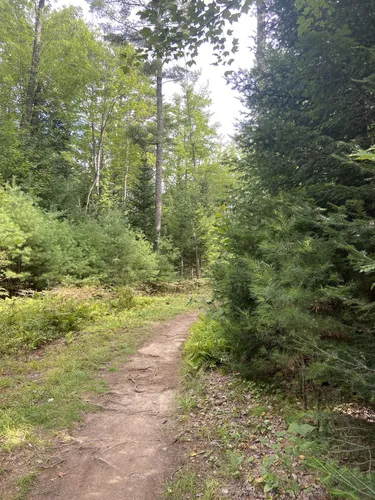 Best Hikes and Trails in Bethel | AllTrails