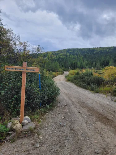 2023 Best Moderate Trails in Fermont | AllTrails