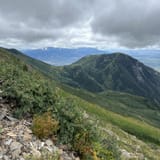 Provo Peak Trail, Utah - 166 Reviews, Map | AllTrails