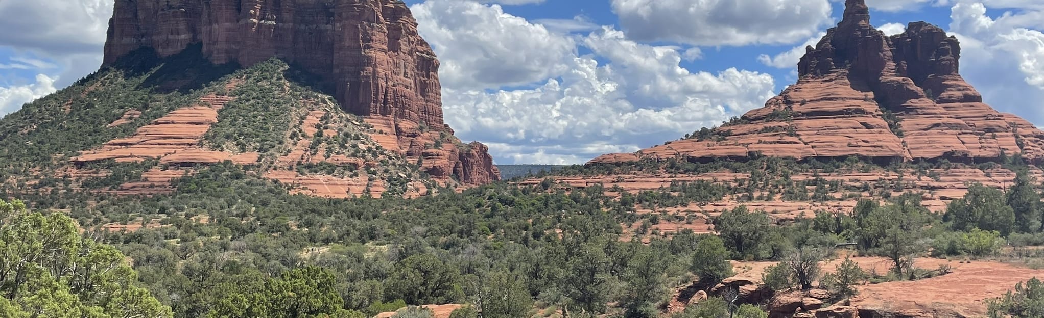 Coconino Trail #172B, Arizona - 151 Reviews, Map | AllTrails