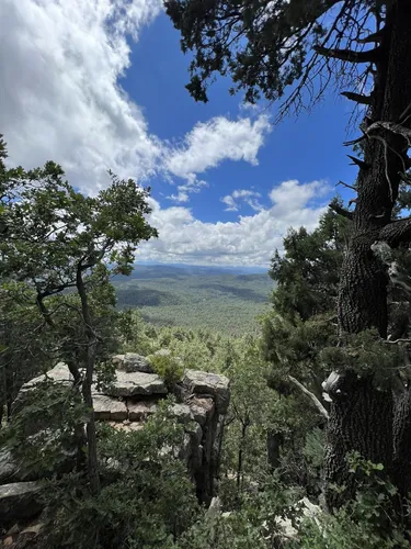 Best 10 Hiking Trails in Apache Sitgreaves National Forest | AllTrails