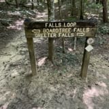 Greeter Falls Loop and Greeter Trail to Alum Gap, Tennessee - 1,041 ...